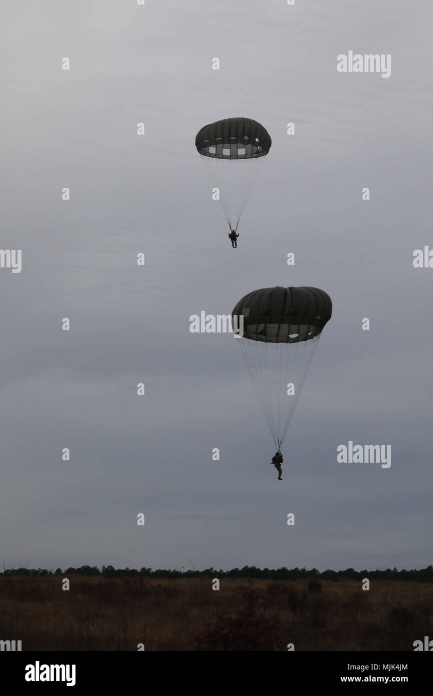 U.S. Army paratroopers fill the sky after jumping from the UH-60 Black ...