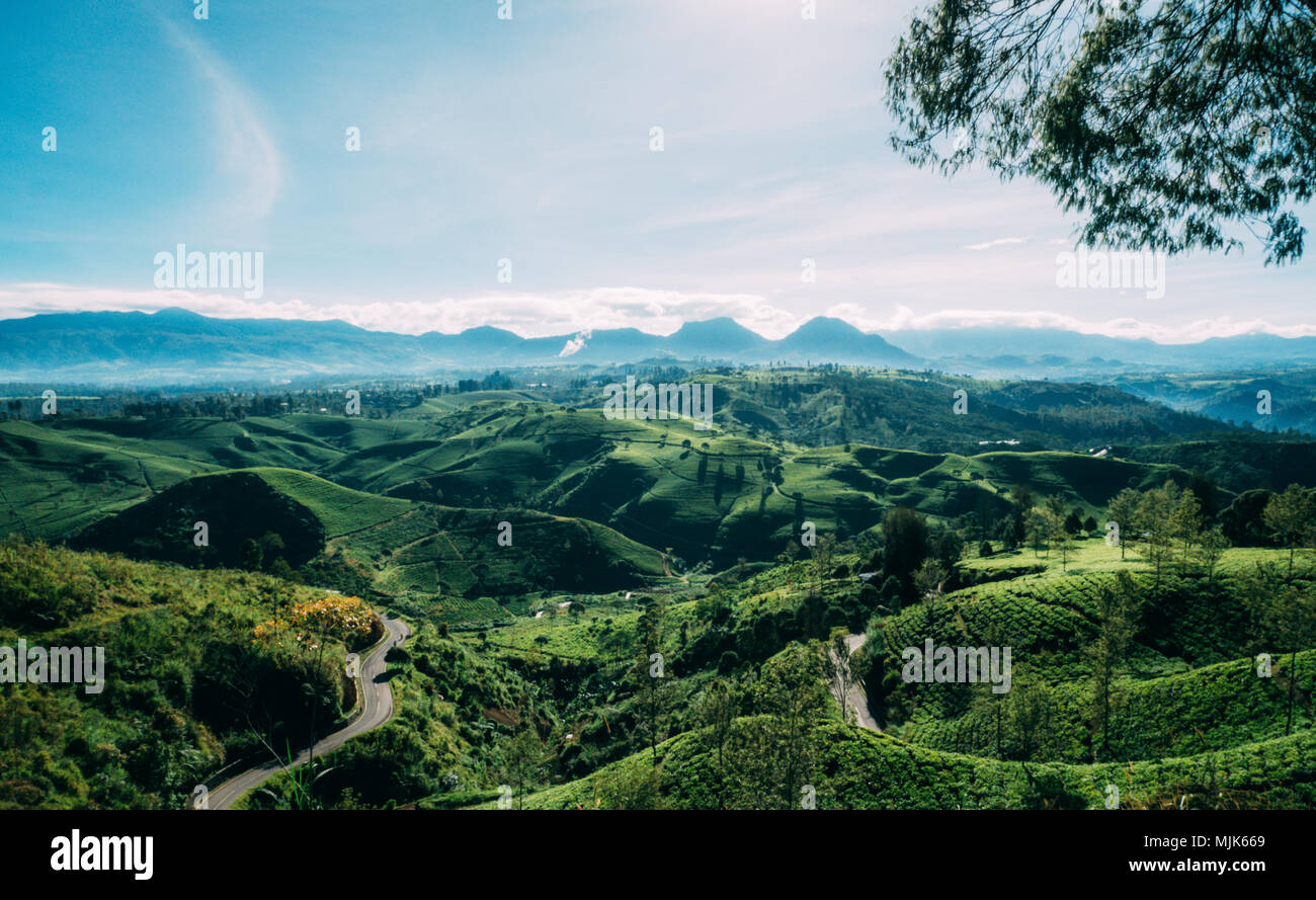 Where green and blue meet hi-res stock photography and images - Alamy