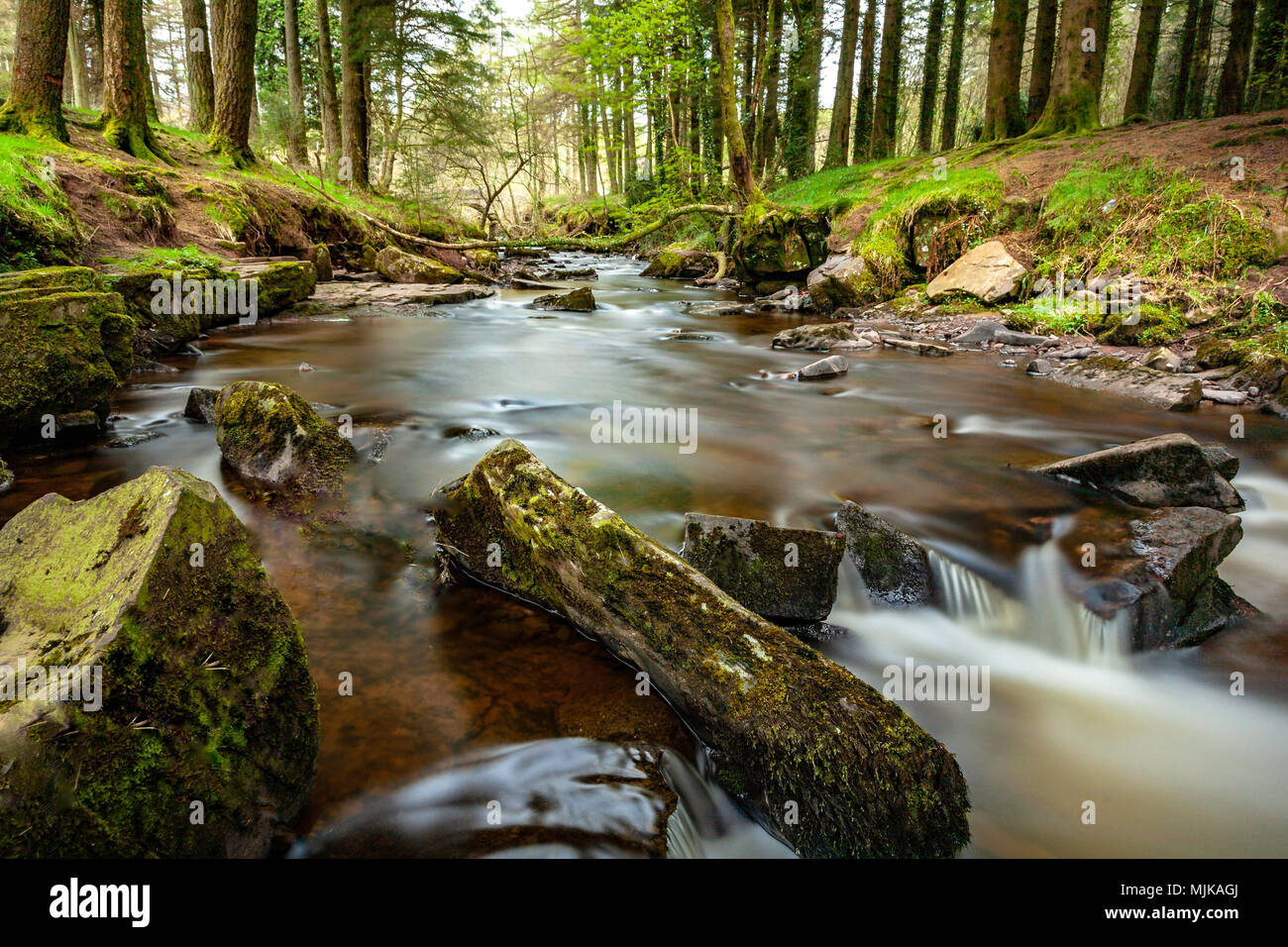 Taf river hi-res stock photography and images - Alamy