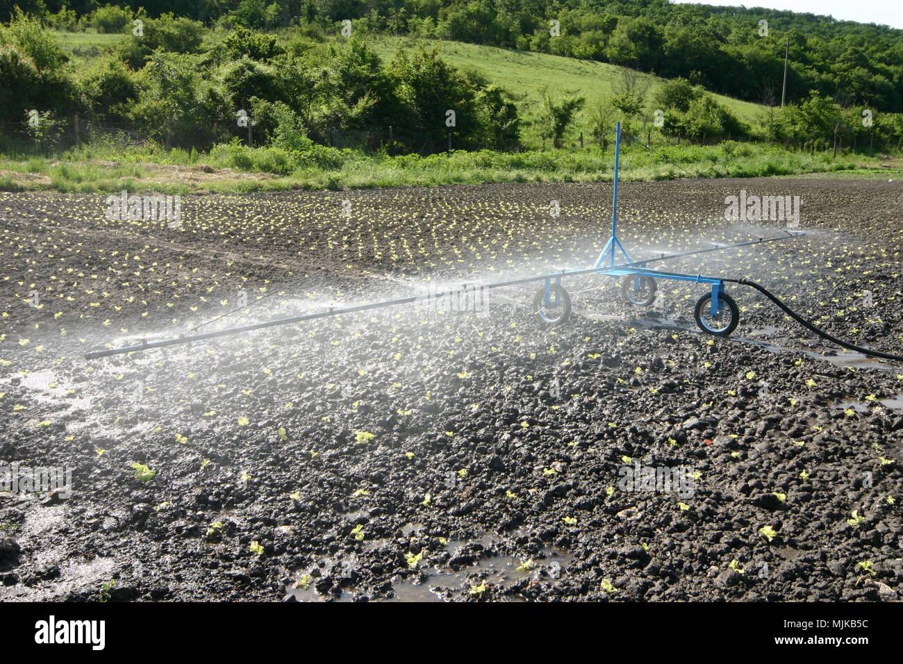 irrigation system watering a farm field Stock Photo - Alamy