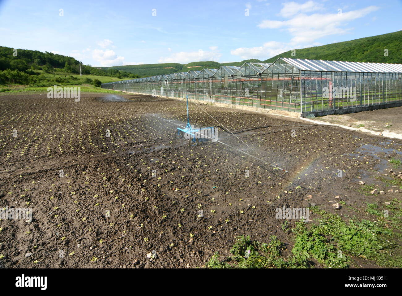 irrigation system watering a farm field Stock Photo - Alamy