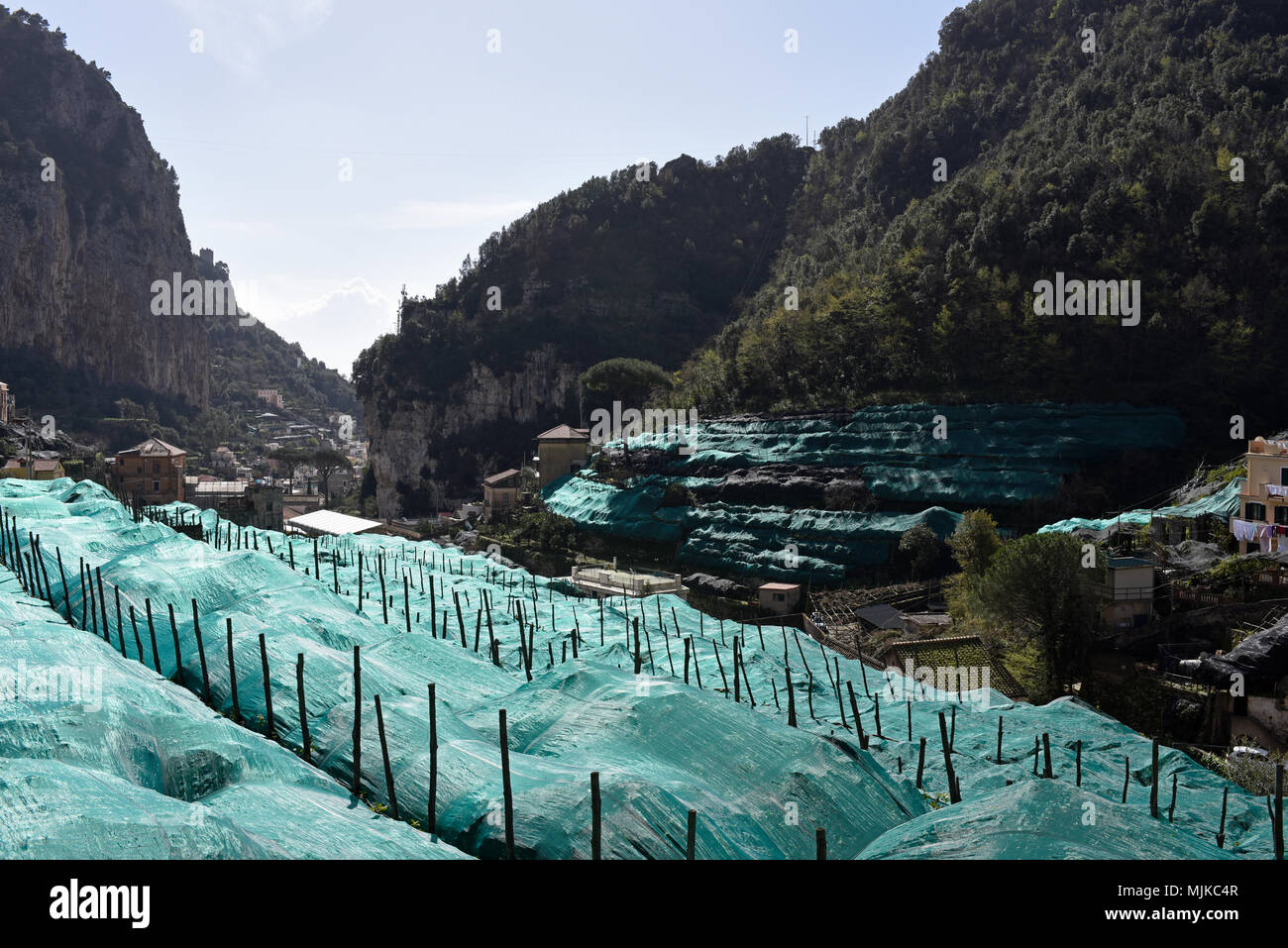 Walking in the Valle delle Ferriere Nature Reserve from Amalfi to ...