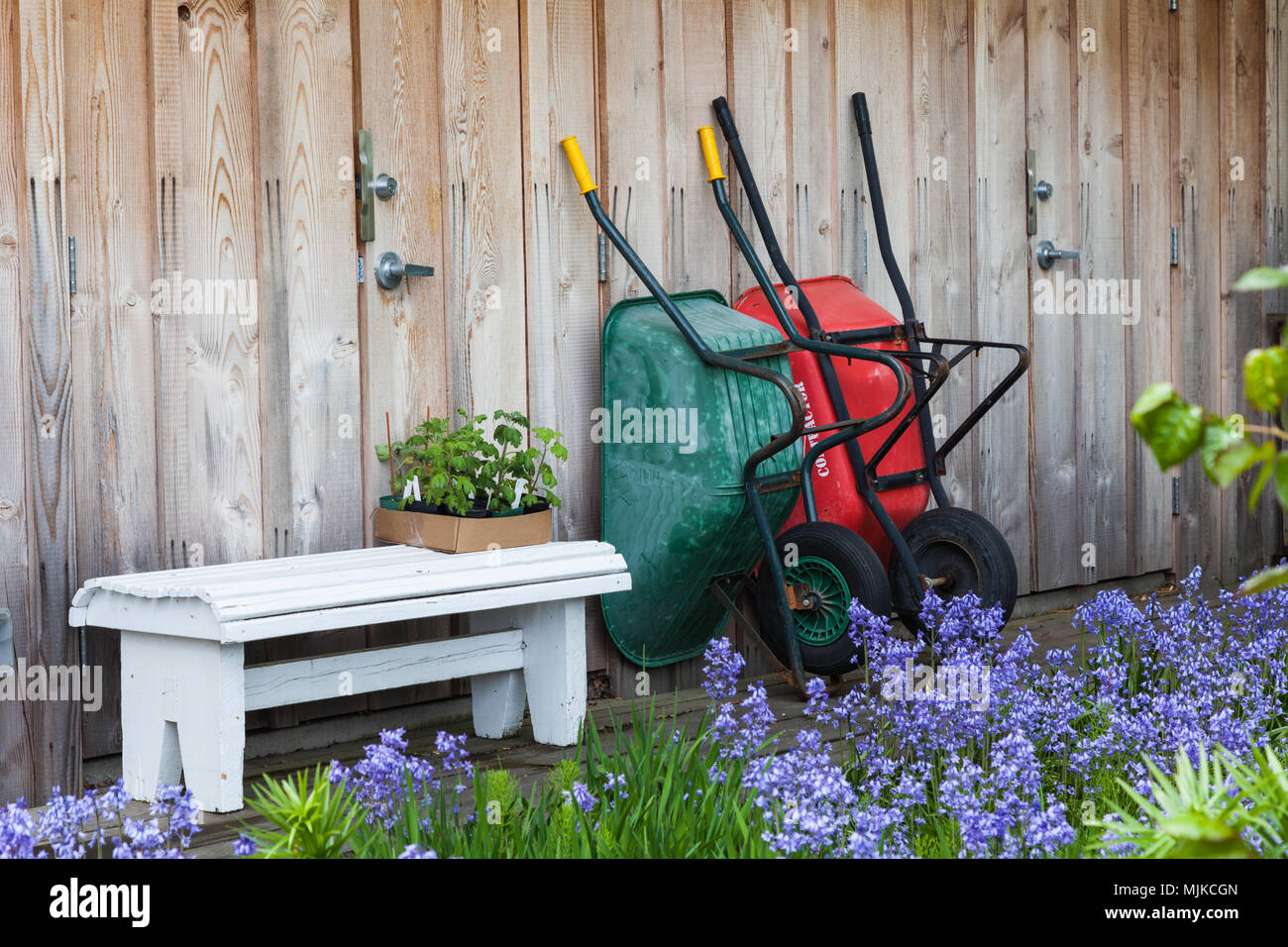 Wheelbarrow garden hi-res stock photography and images - Alamy