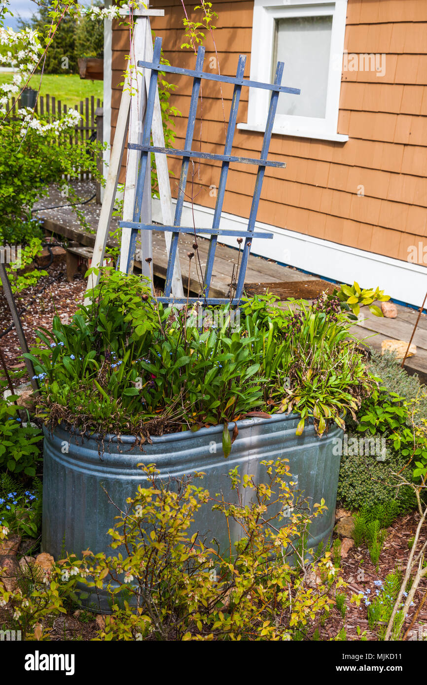 Galvanized container used as a planter in a garden setting Stock Photo ...