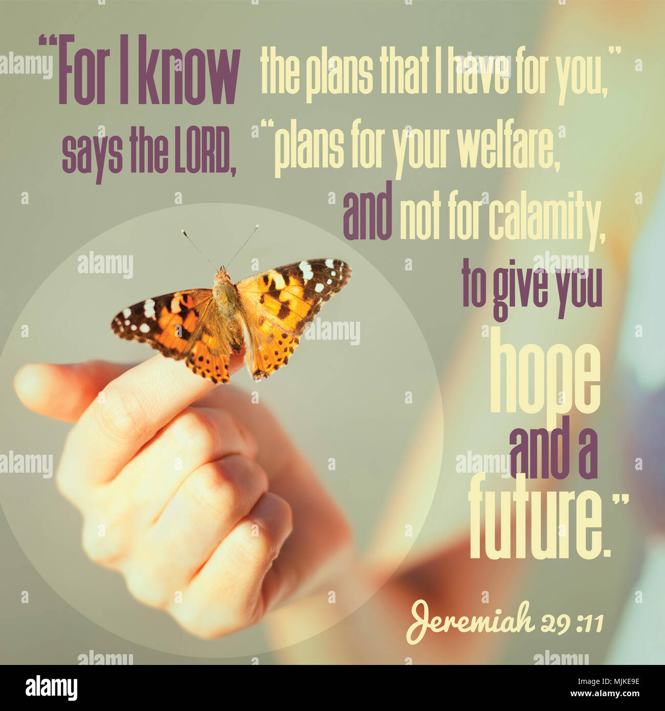 Bible verse jer hi-res stock photography and images - Alamy