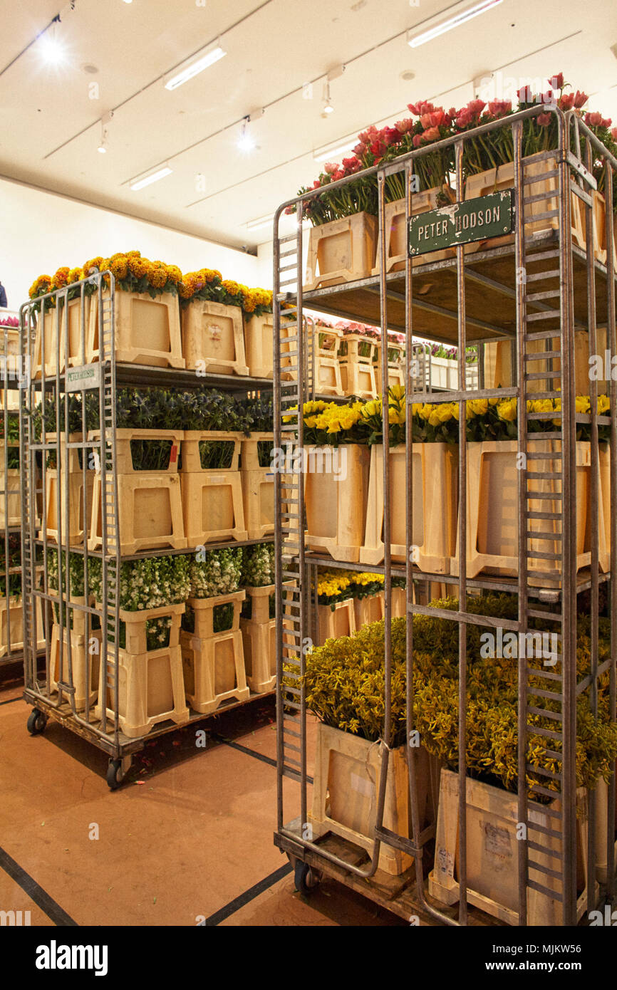 Cut Flowers in Storage Racks Stock Photo - Alamy