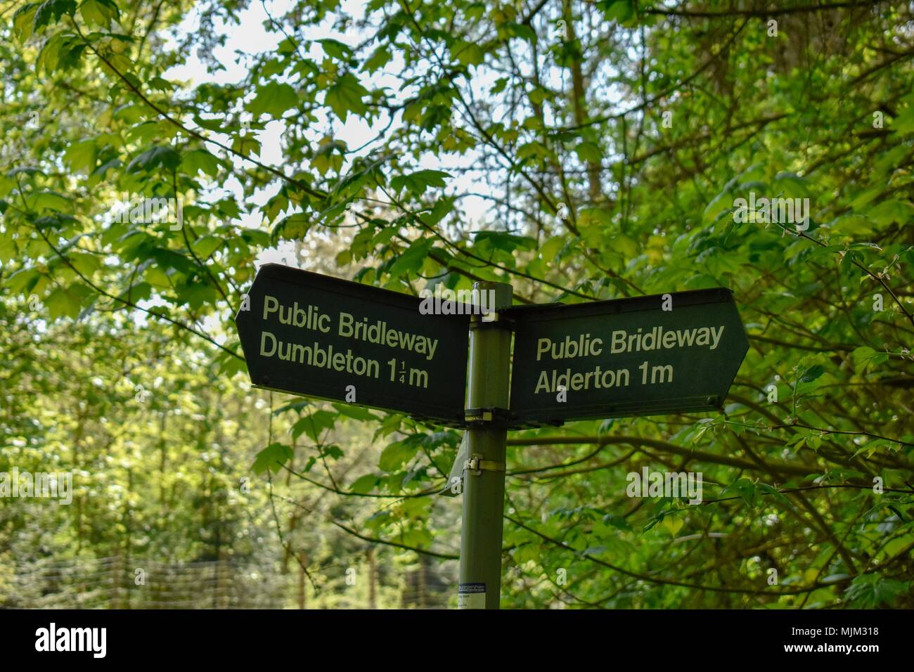 Dumbleton hi-res stock photography and images - Alamy