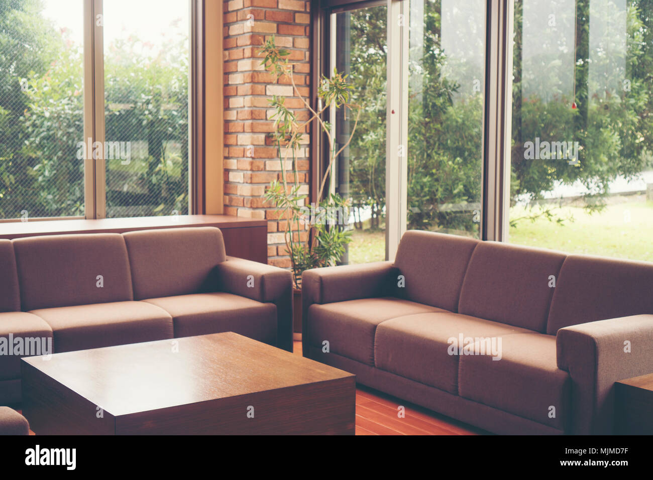 Sofa set in natural living room Stock Photo - Alamy