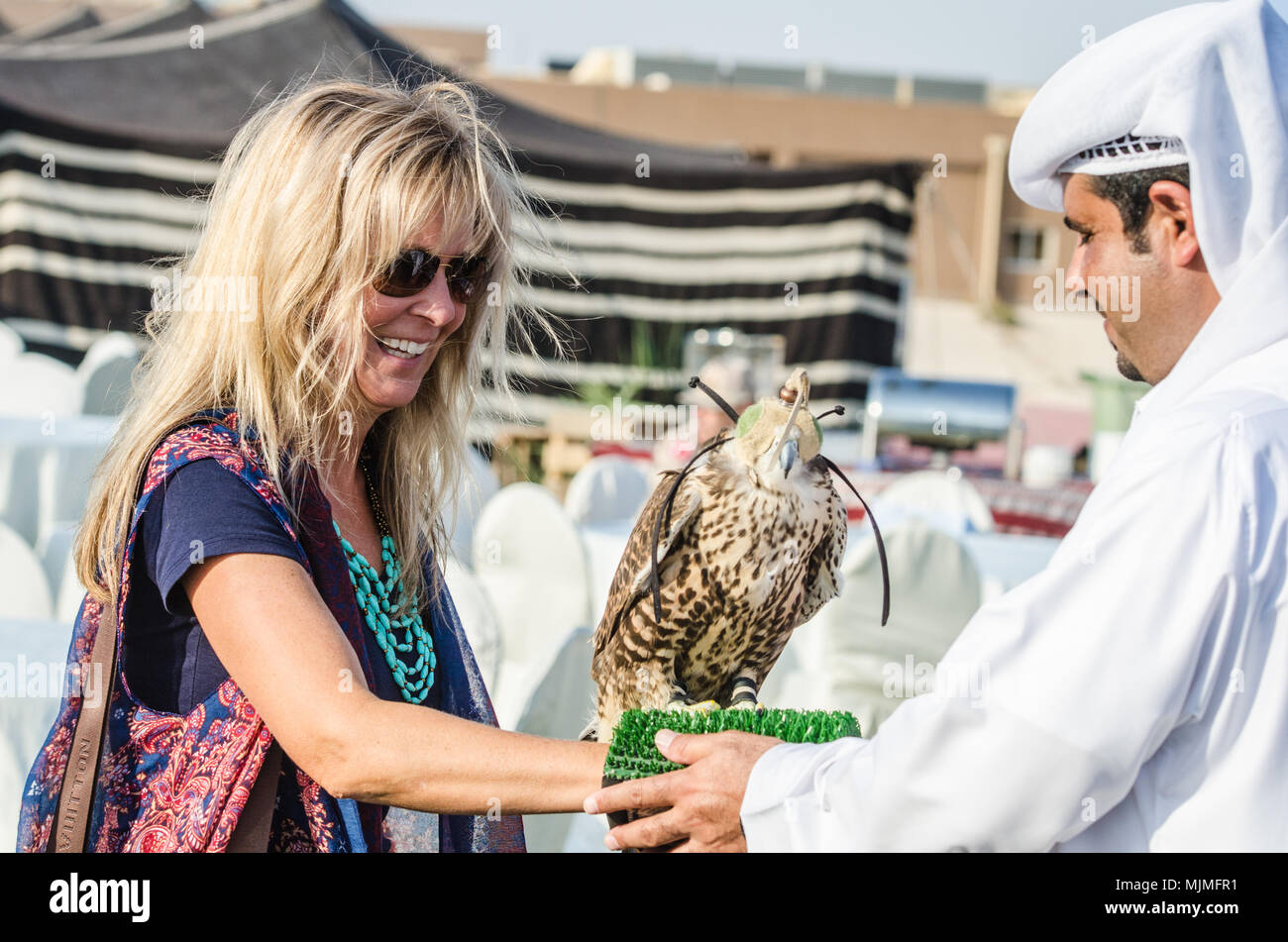 Qatar national bird hi-res stock photography and images - Alamy