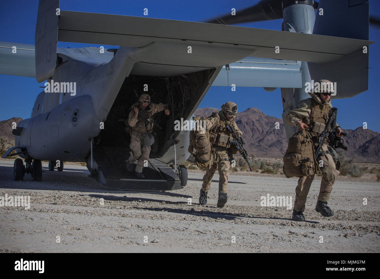 Marine medium tiltrotor squadron vmm 364 purple foxes hi-res stock ...
