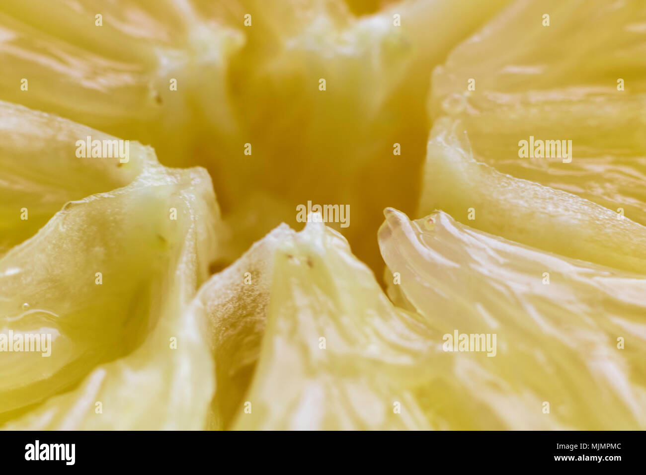 Pale yellow sliced lemon, squeezed, closeup, antioxidant, vitamin ...