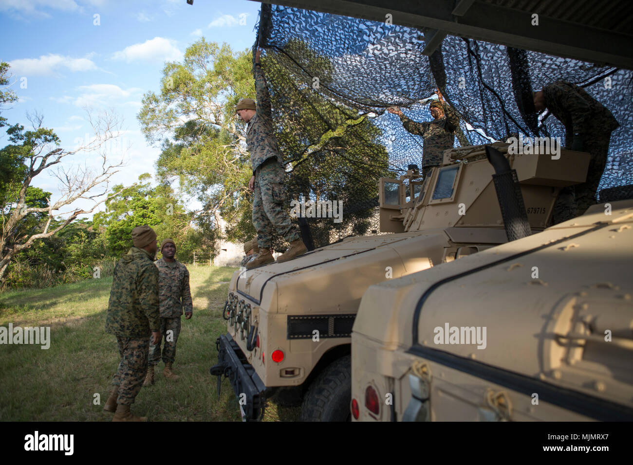Marines with 3rd Marine Logistics Group Headquarters set up camouflage ...