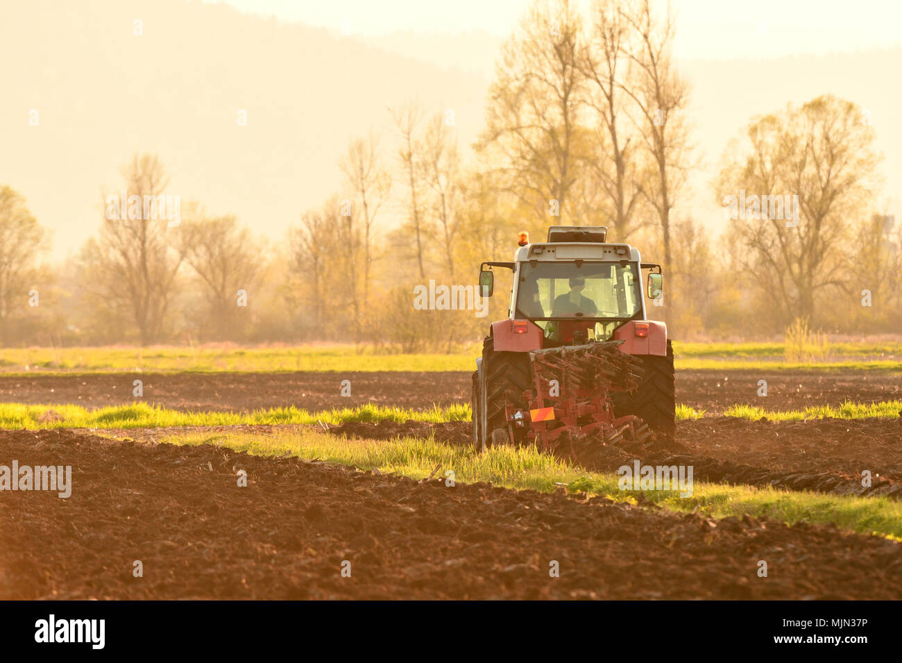 Farmer Plowing Field High Resolution Stock Photography and Images - Alamy