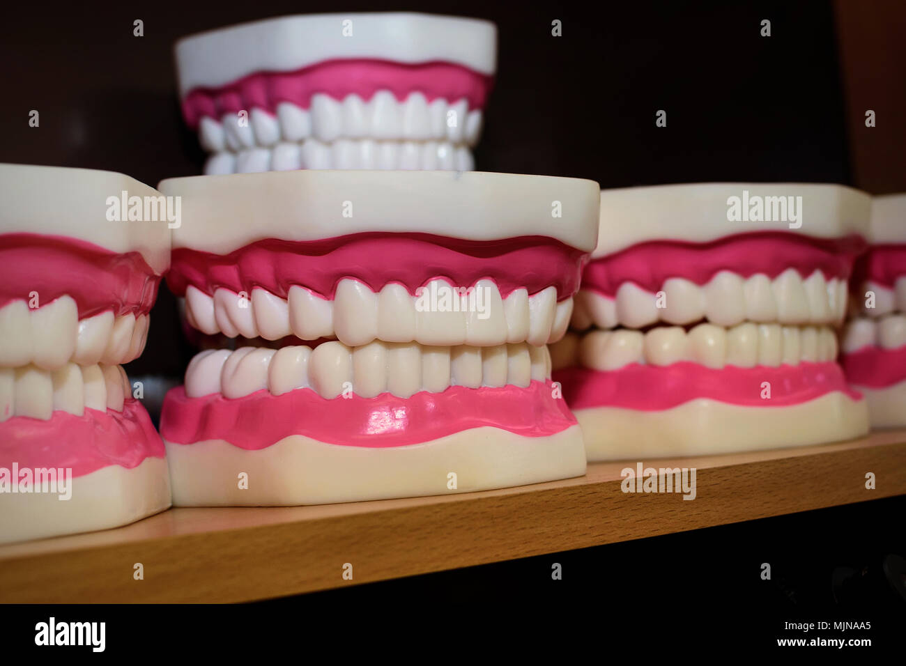 Anatomical teeth models, medicine concept Stock Photo - Alamy