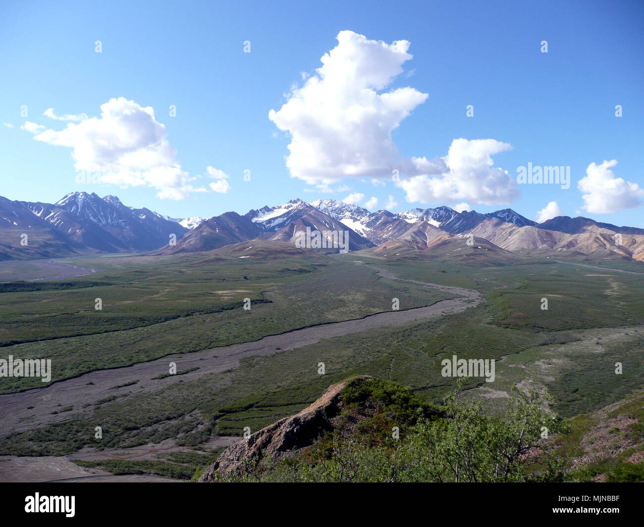 Landscape view of Denali National Park in Alaska Stock Photo - Alamy