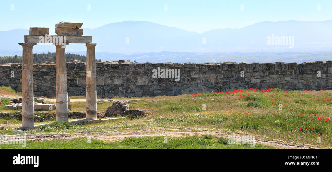 Remains of Roman columns at Pamukkale, Turkey Stock Photo - Alamy