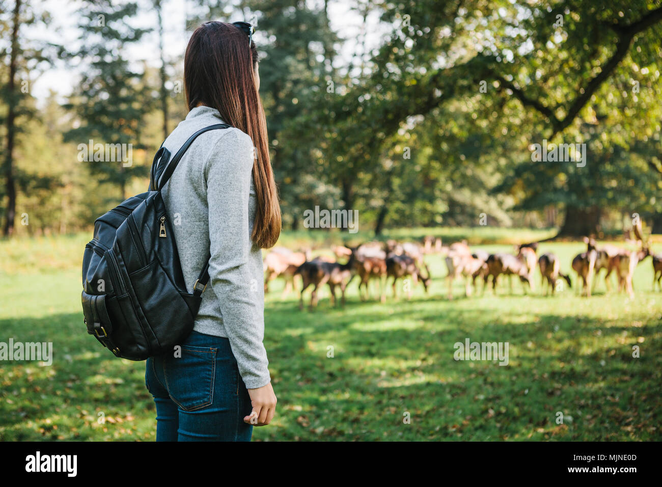 Young beautiful travel girl with backpack looking at wild reindeer ...