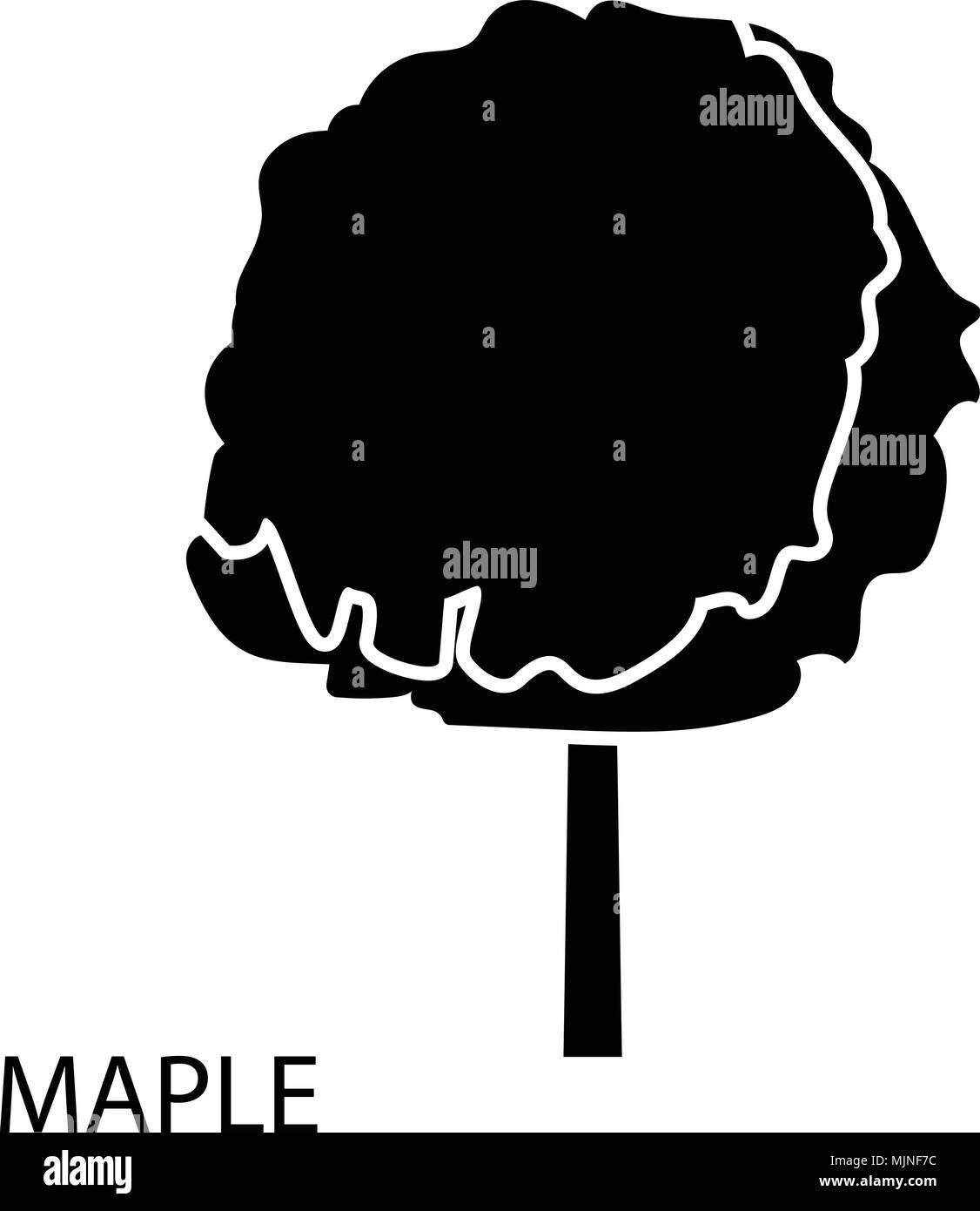 Maple tree root Black and White Stock Photos & Images - Alamy