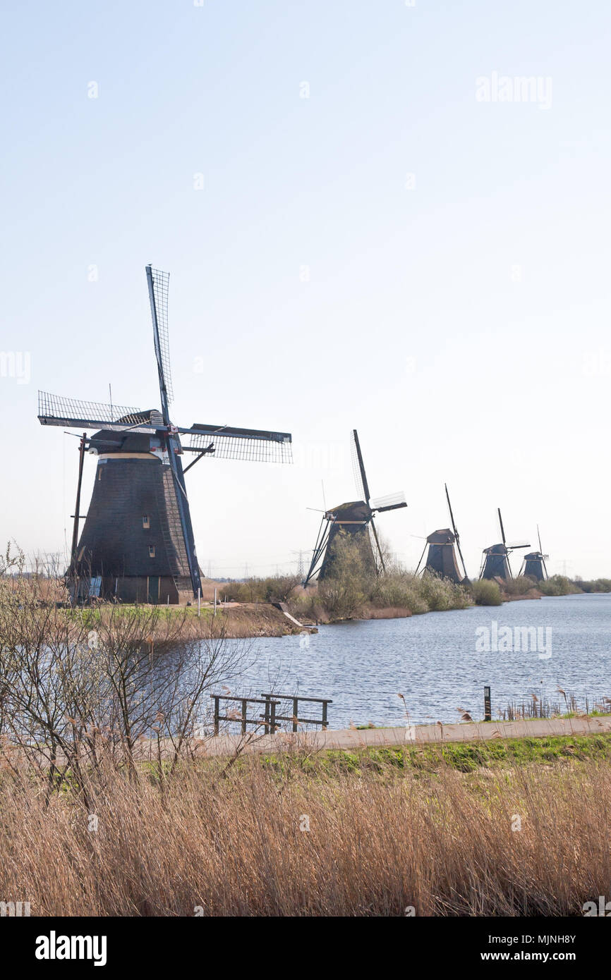 The Netherlands, dutch windmills landscape at Kinderdijk near Rotterdam ...