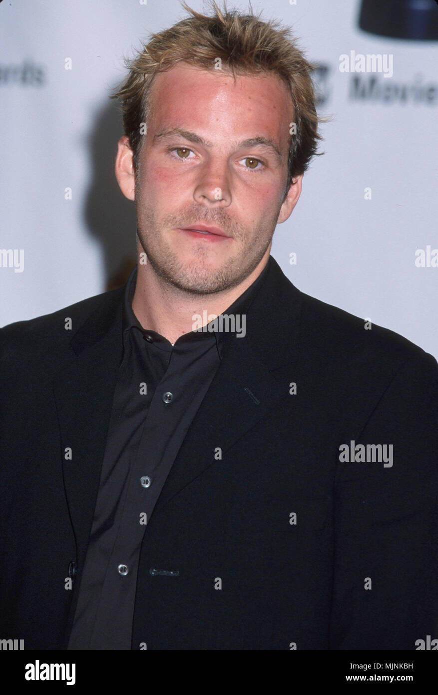 Portrait of Stephen Dorff --- " Tsuni / - "Stephen Dorff Stephen Dorff ...