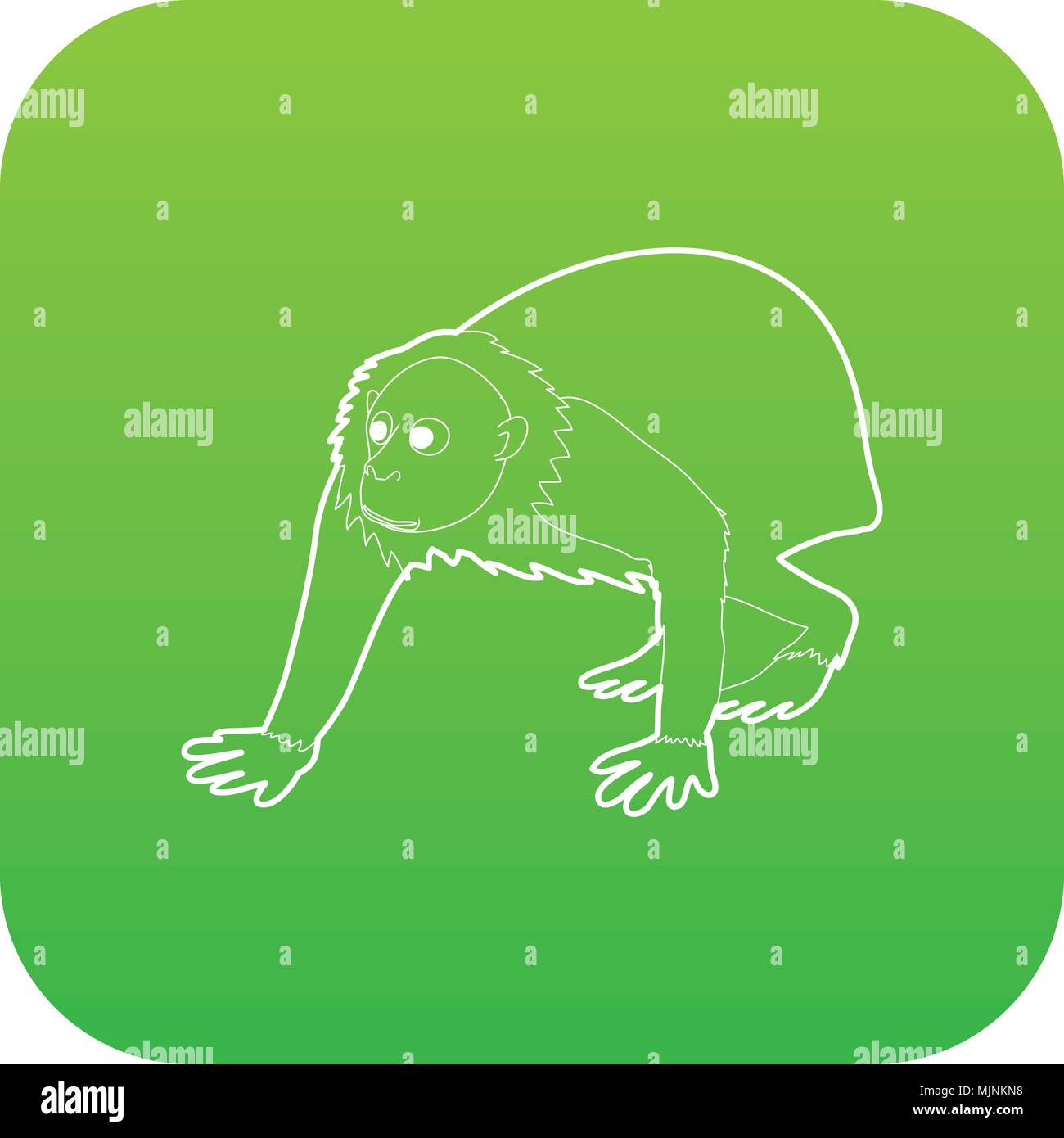 Wakari High Resolution Stock Photography and Images - Alamy