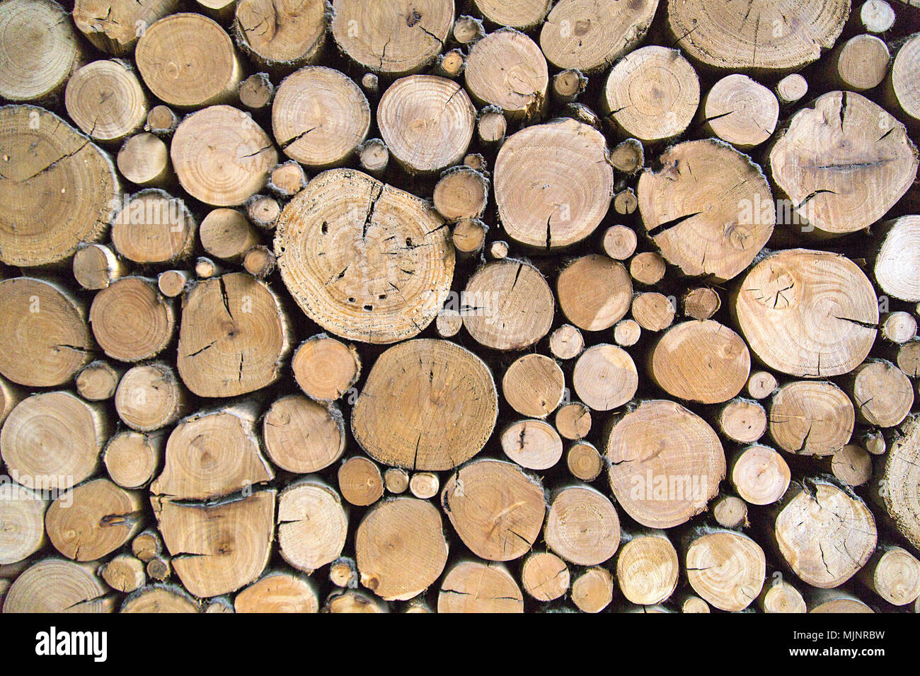 Sawn timber logs stacked for a wood burning stove. Close up in full ...