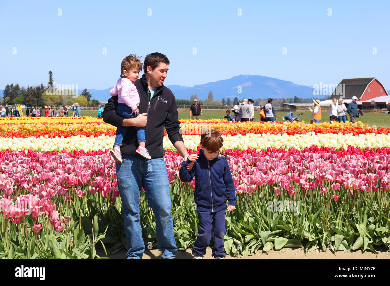 Tuli pictures hi-res stock photography and images - Alamy