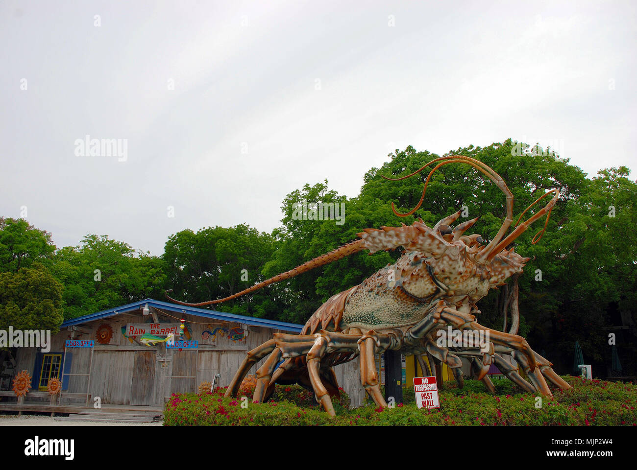 Big betsy florida keys hi-res stock photography and images - Alamy