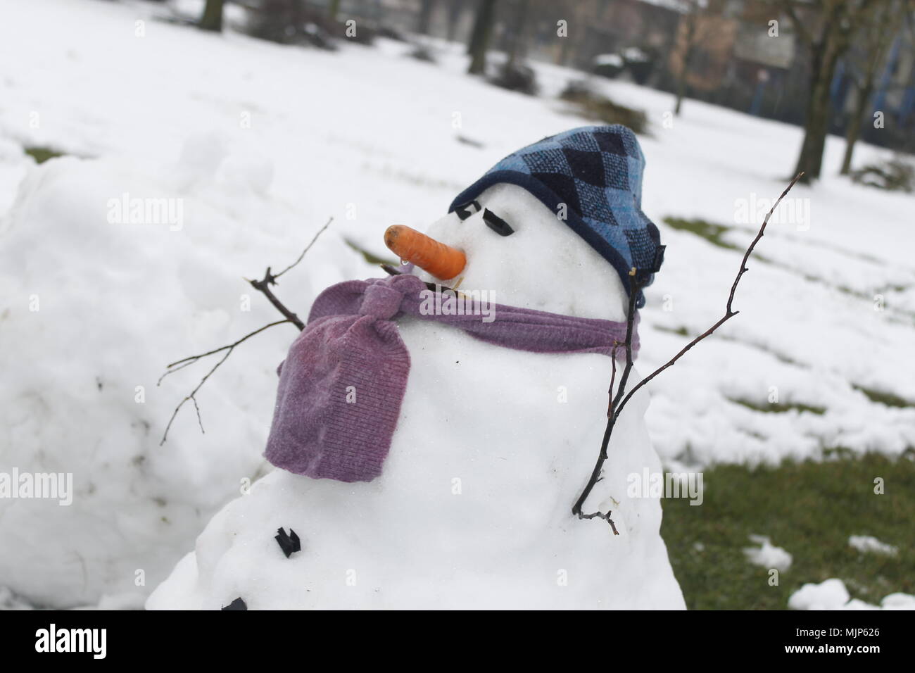 Snowman carrot nose stands hi-res stock photography and images - Alamy