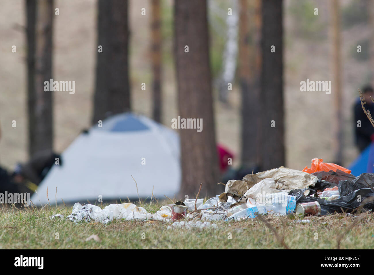 Trash and garbage in forest camping Stock Photo - Alamy
