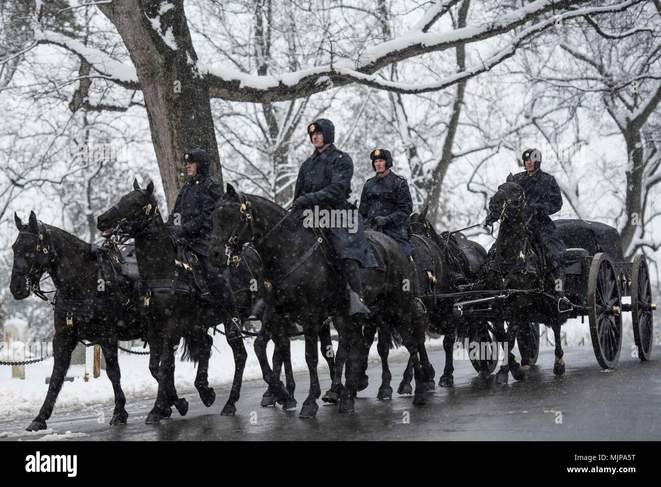 Soldiers assigned to the U.S. Army Caisson Platoon, 1st Battalion, 3d U ...