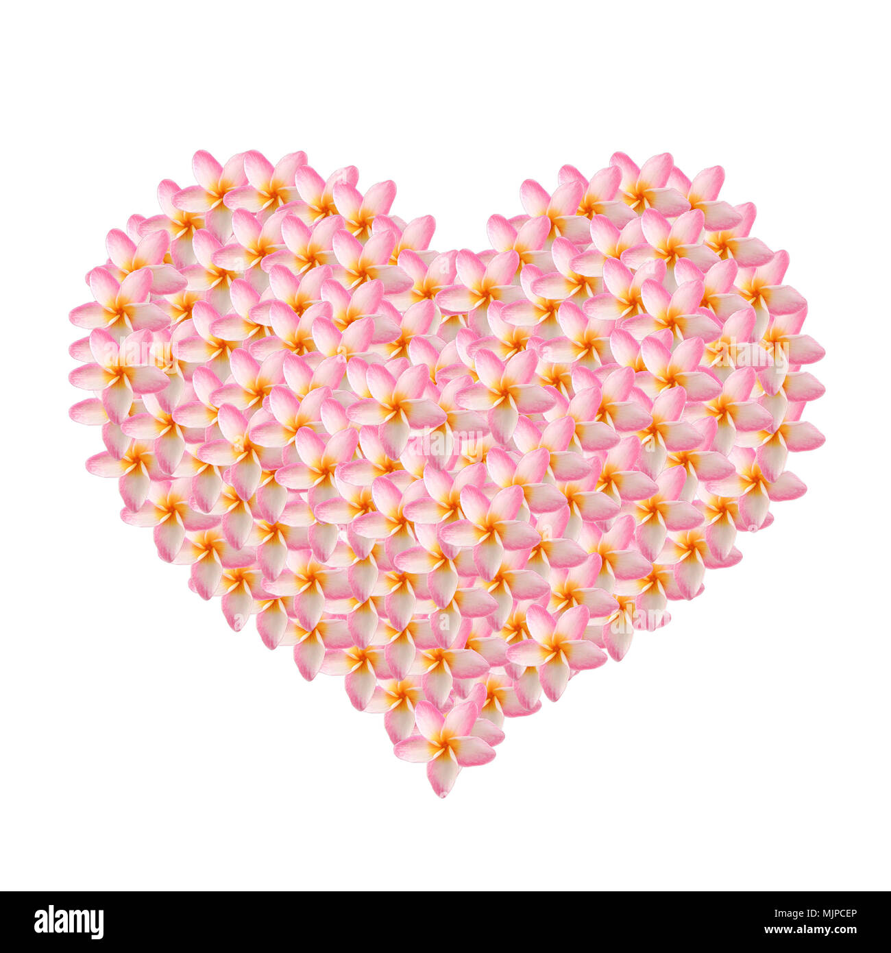 Pink frangipani border Cut Out Stock Images & Pictures - Alamy
