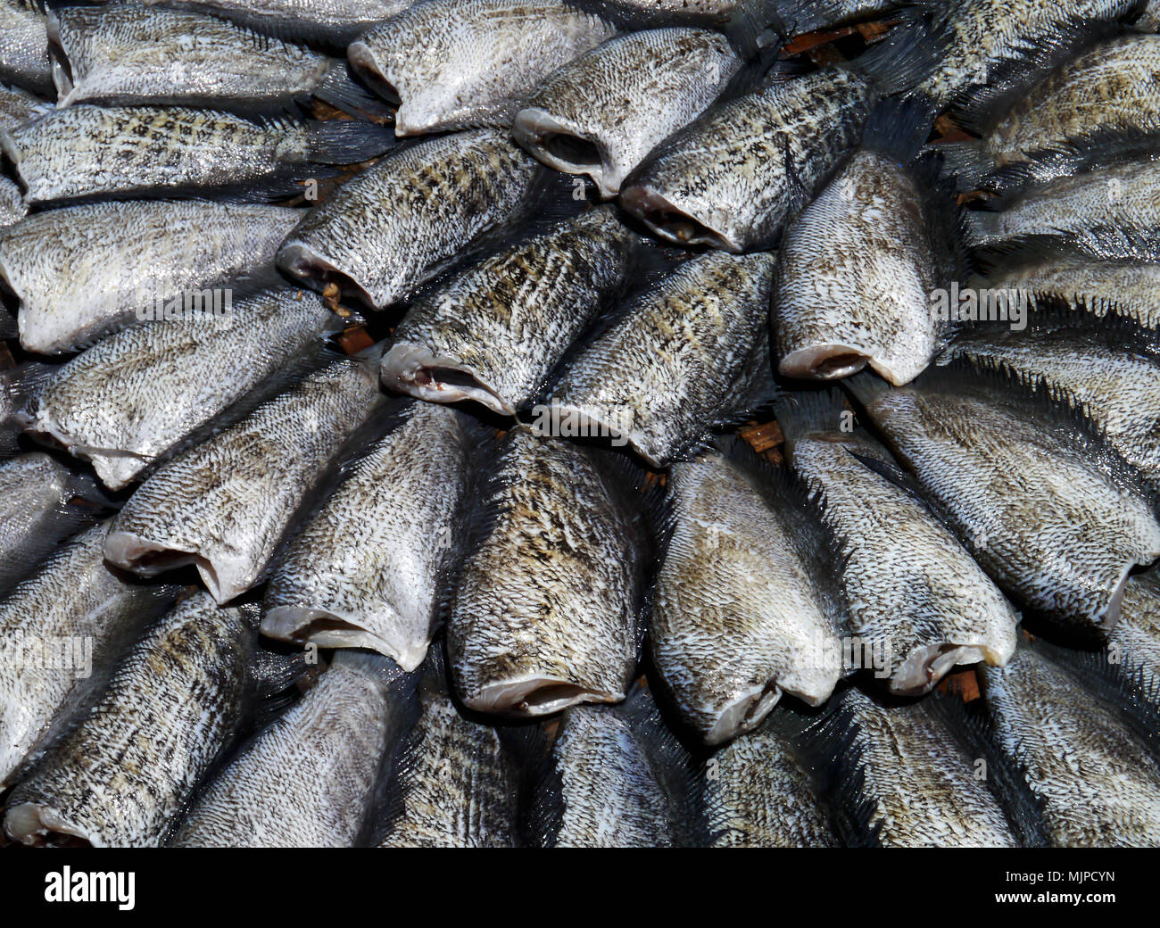 Fish drying on a wooden stretcher mole Thai food Stock Photo - Alamy