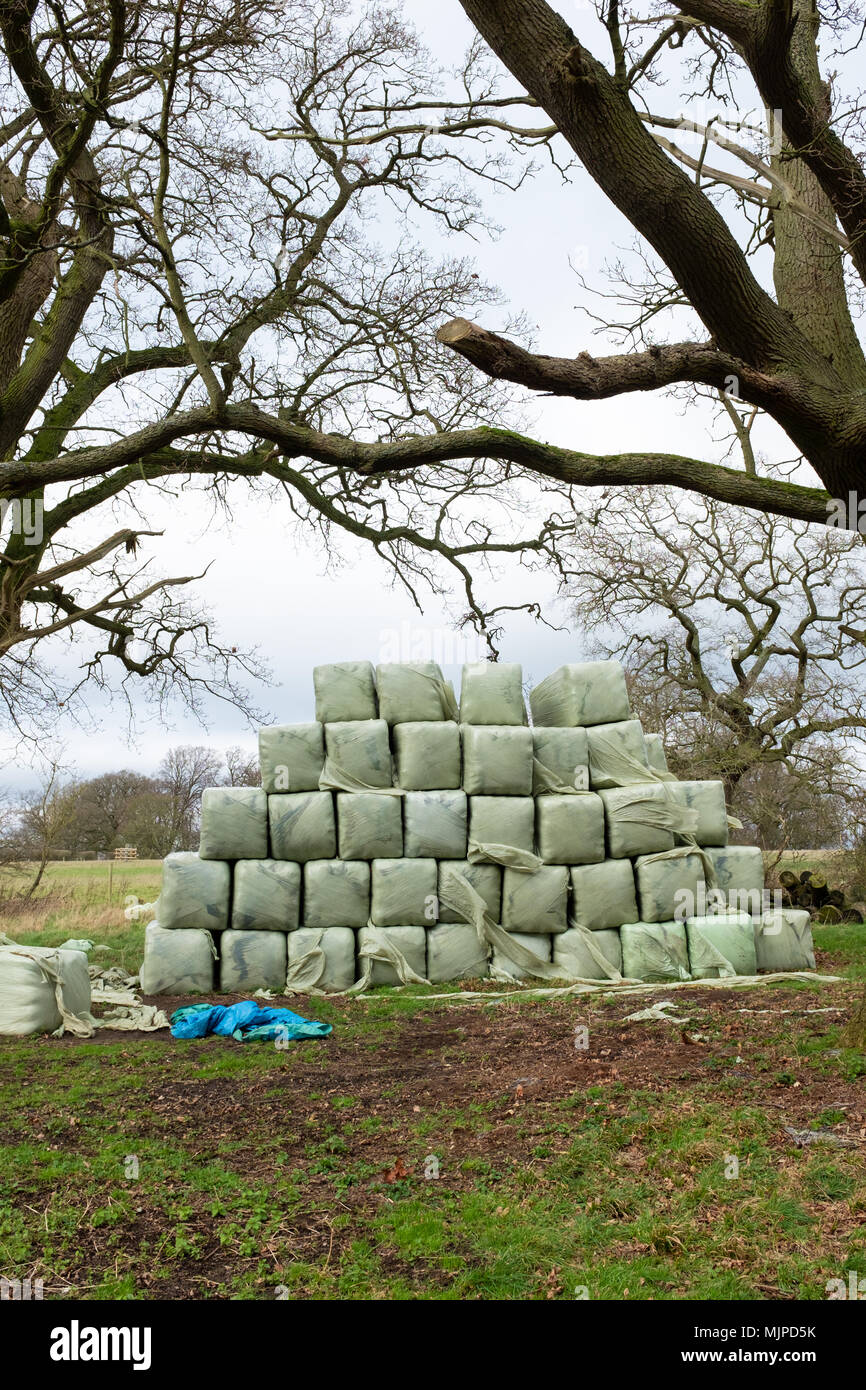 Bails Of Silage High Resolution Stock Photography and Images - Alamy