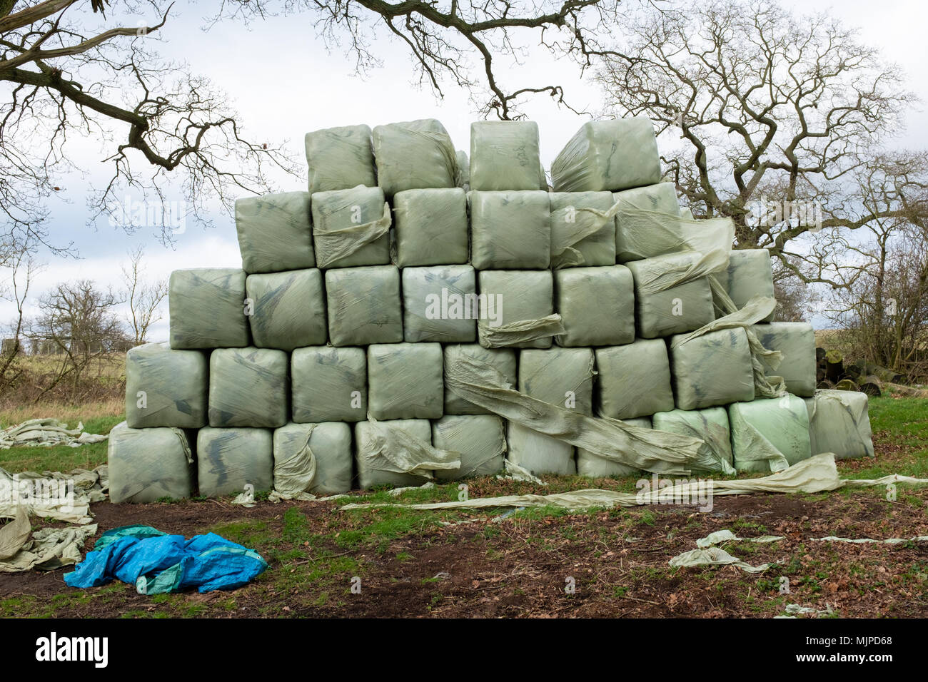Polythene wrapped bales hi-res stock photography and images - Alamy