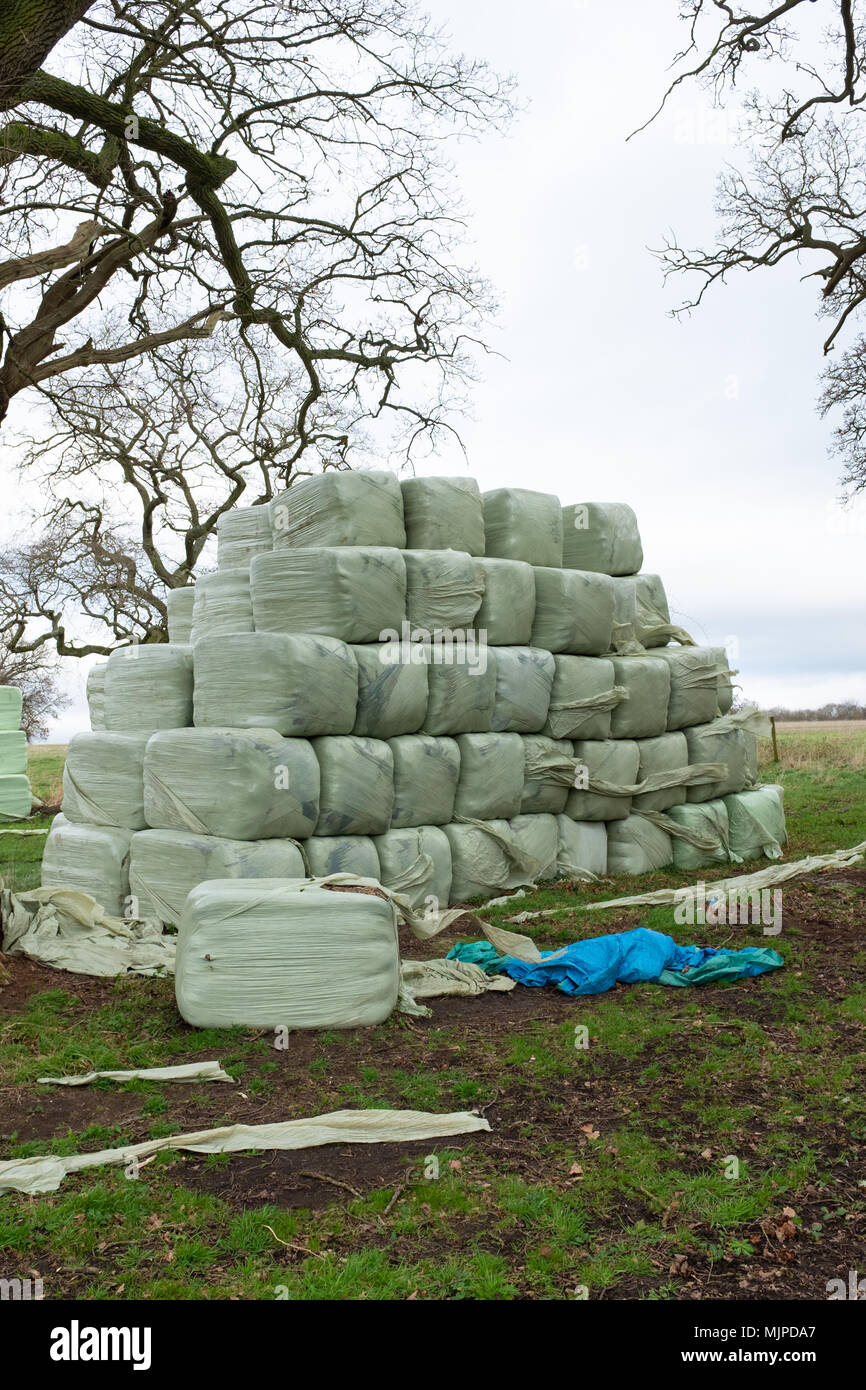 Bail of silage hi-res stock photography and images - Alamy
