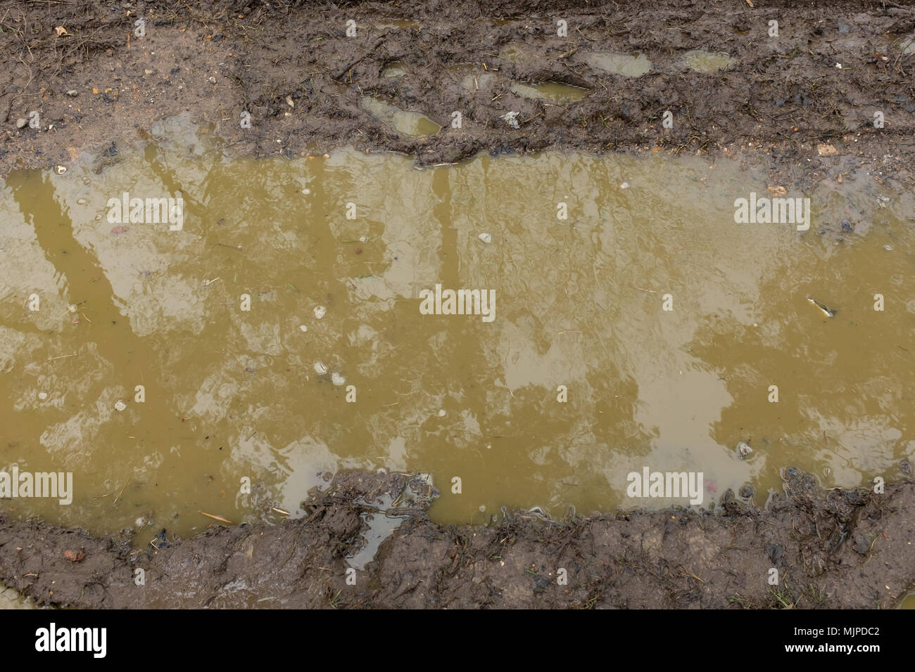 Muddy puddle in the countryside Stock Photo - Alamy