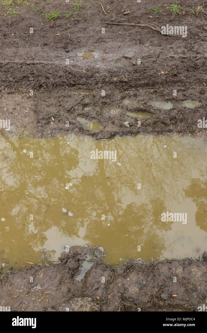 Wet mud puddles puddle hi-res stock photography and images - Alamy