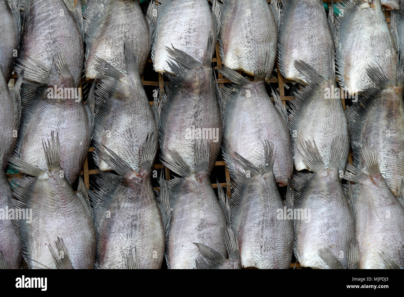Fish drying on a wooden stretcher mole Thai food Stock Photo - Alamy