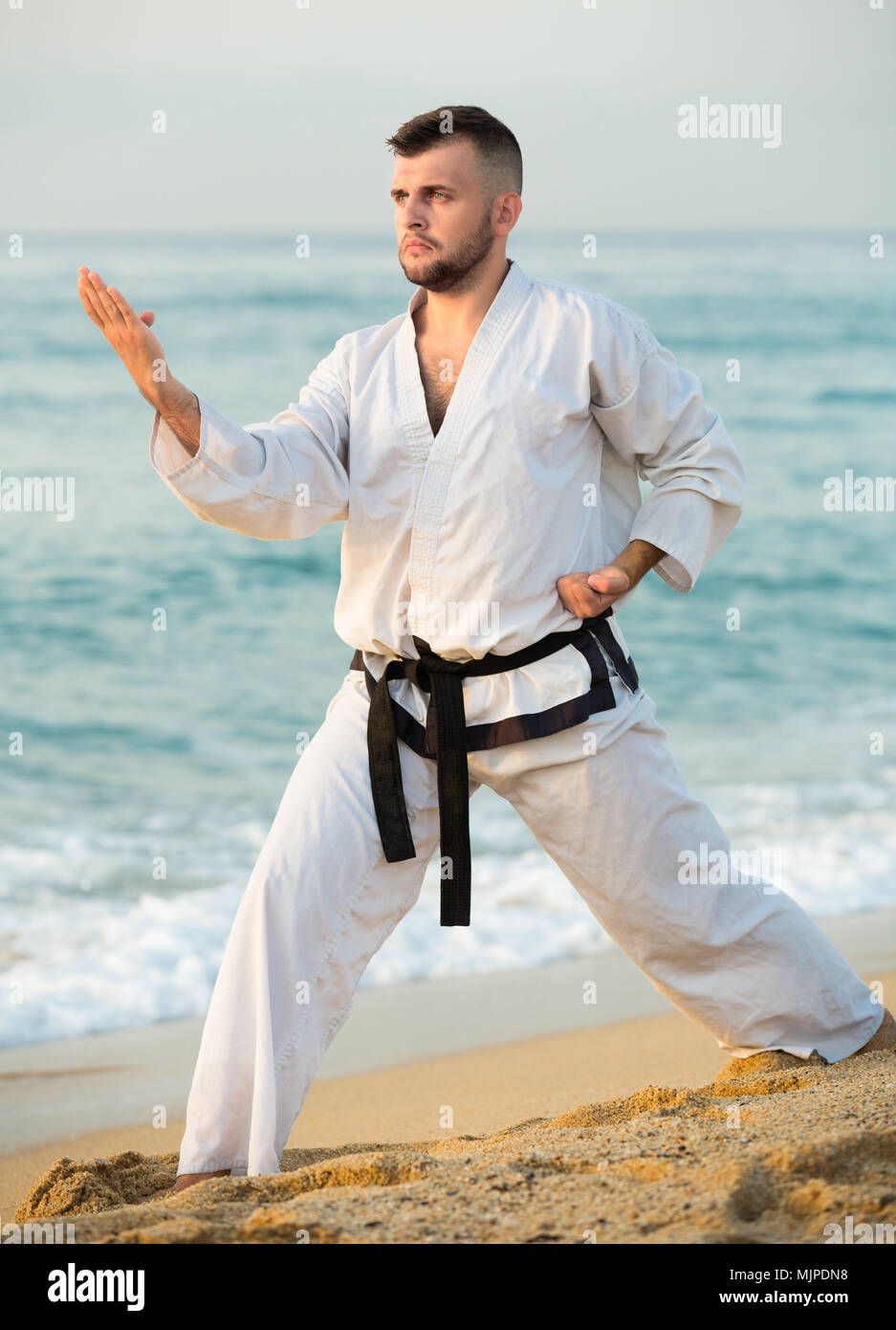 Active male practising karate kata poses at seaside Stock Photo - Alamy