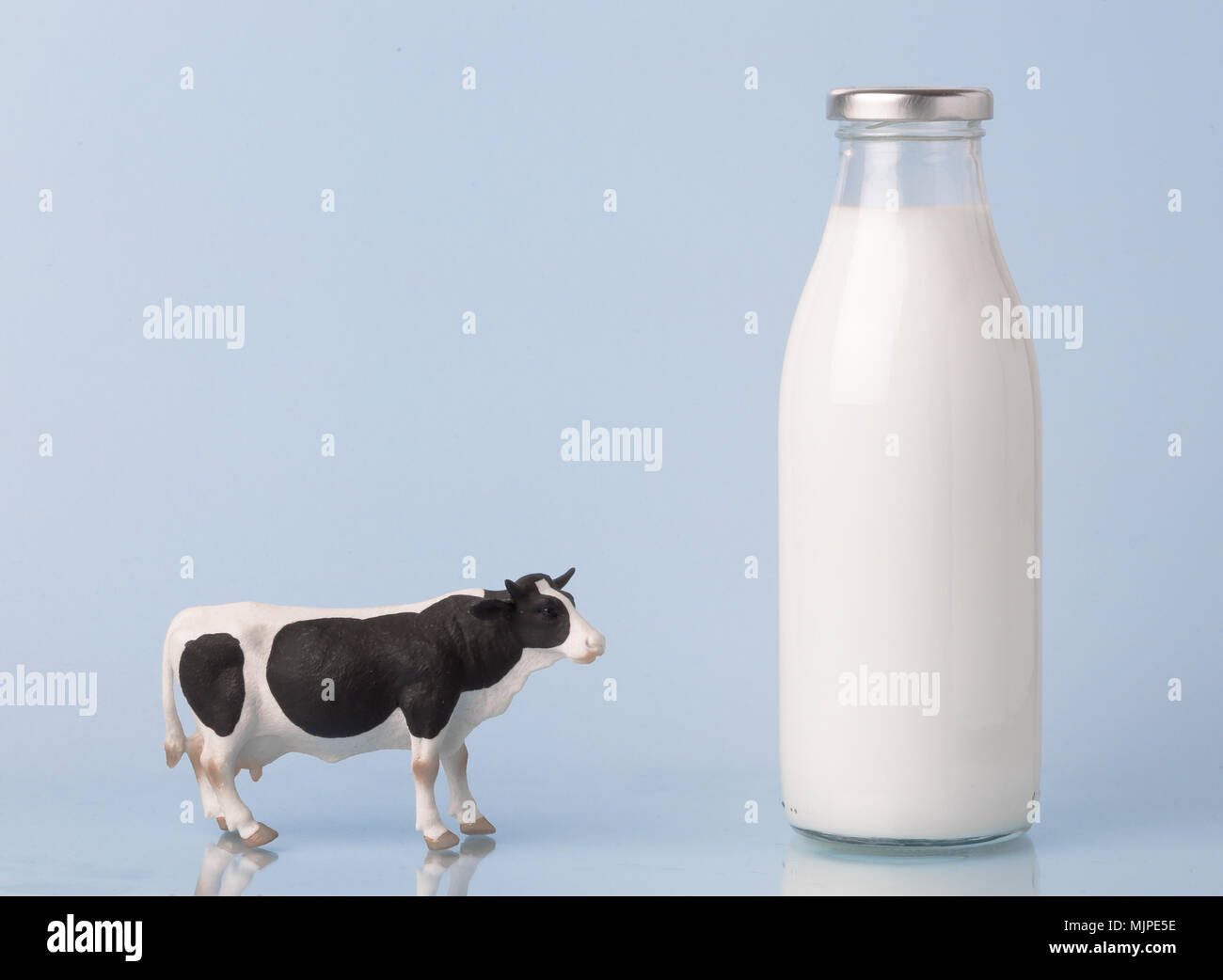 Diary cow hi-res stock photography and images - Alamy