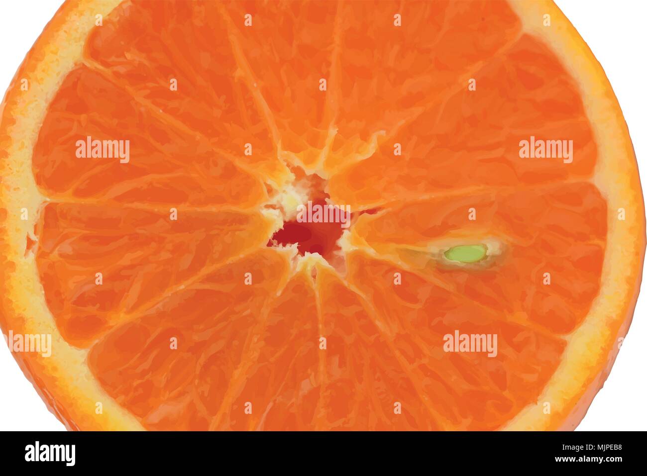Orange slice vector Stock Vector Images - Alamy
