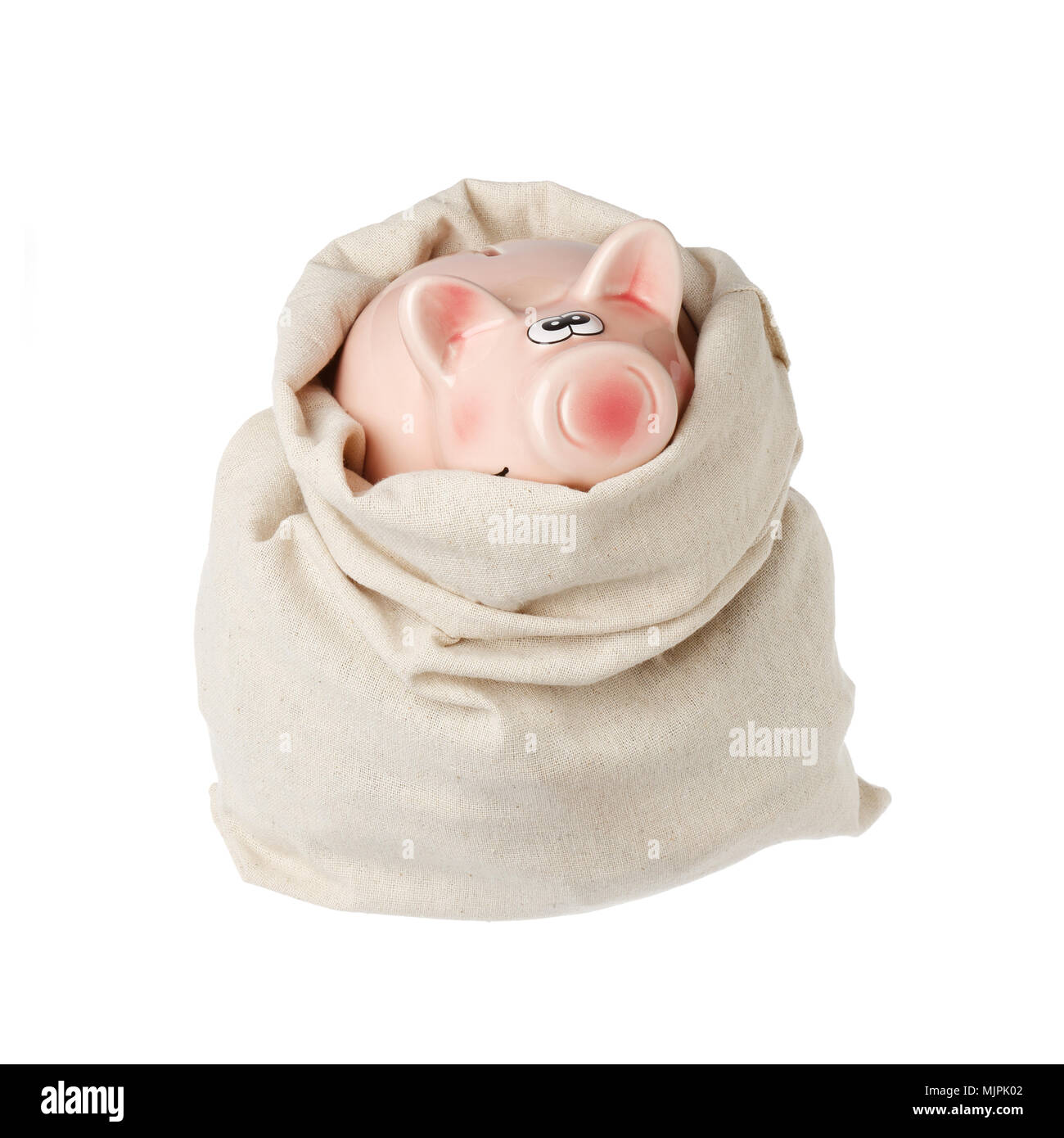 One pink piggy bank inside a sack isolated on white background Stock ...