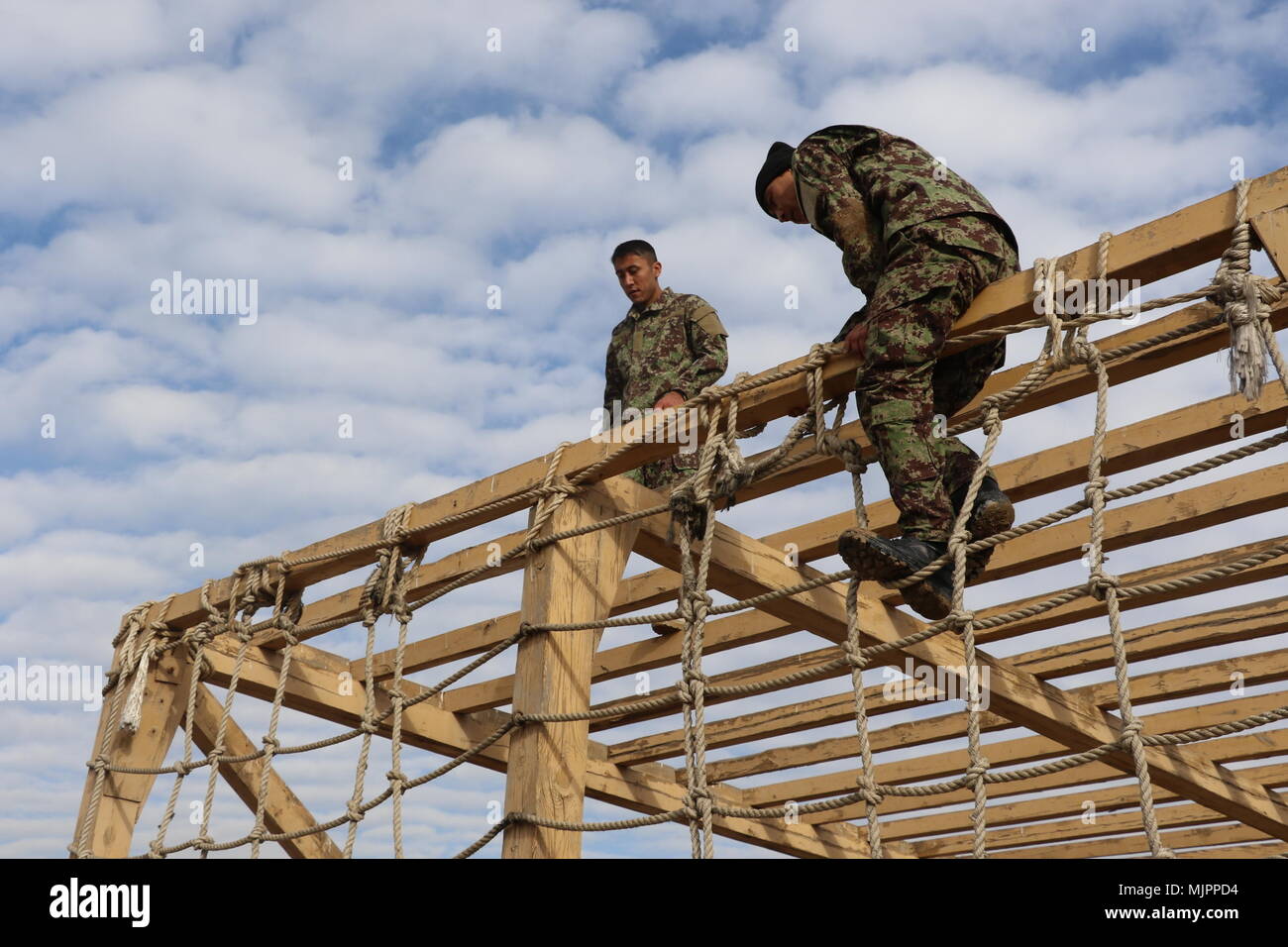 Nsocc a hi-res stock photography and images - Alamy