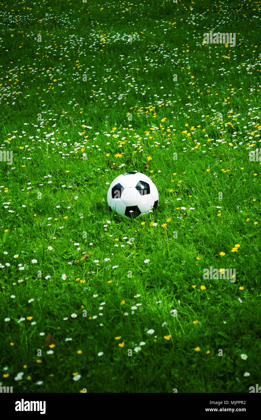 Football girlfriend hi-res stock photography and images - Alamy