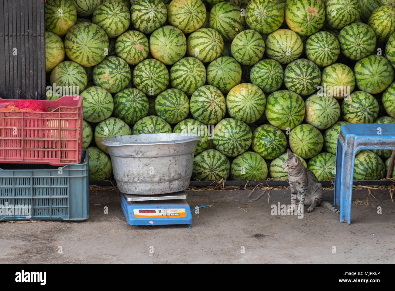 Suervision hi-res stock photography and images - Alamy