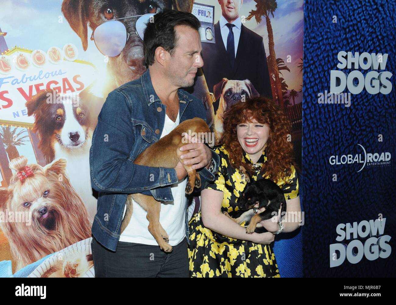 Show dogs arnett hi-res stock photography and images - Alamy