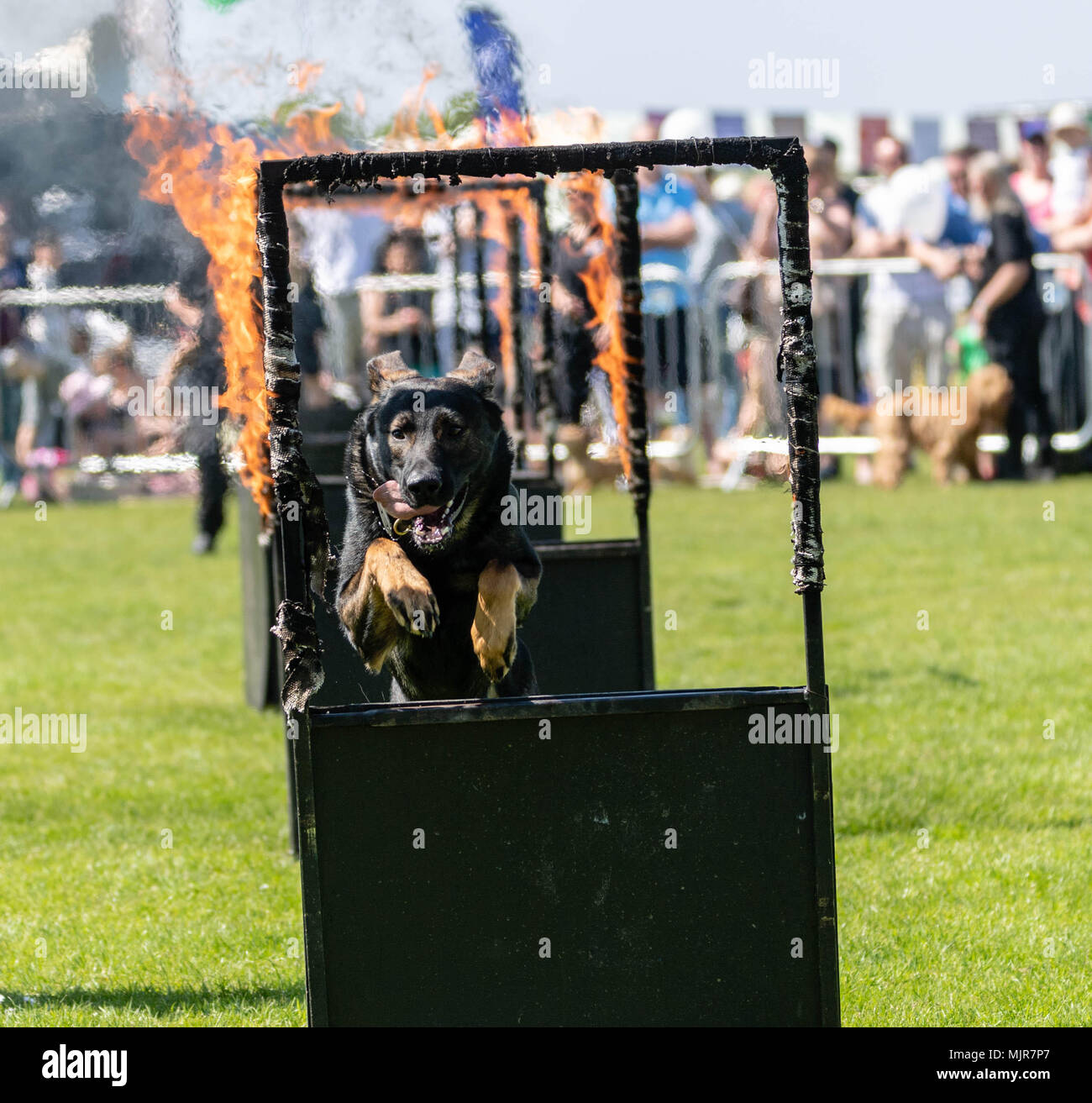 Fire hoops show hi-res stock photography and images - Alamy