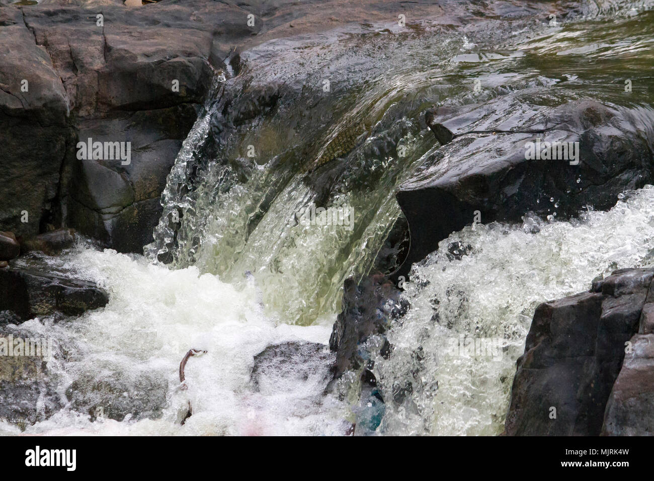 The Scenery Of Hogenakkal waterfall in South India on the Kaveri river ...