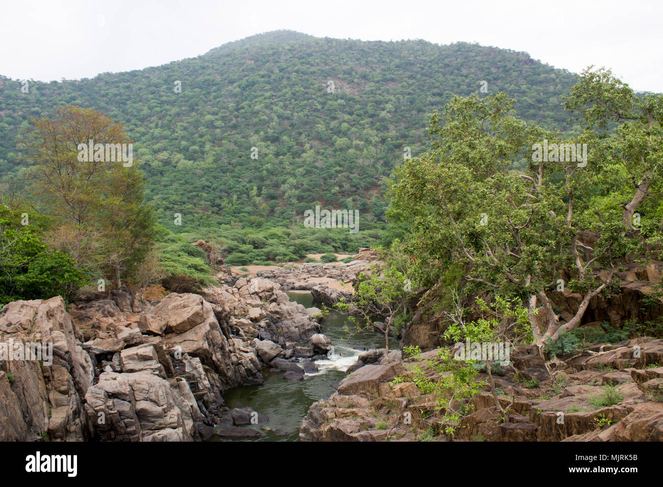 The Scenery Of Hogenakkal waterfall in South India on the Kaveri river ...